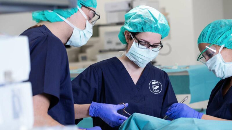 About Us - Amsterdam Skills Centre